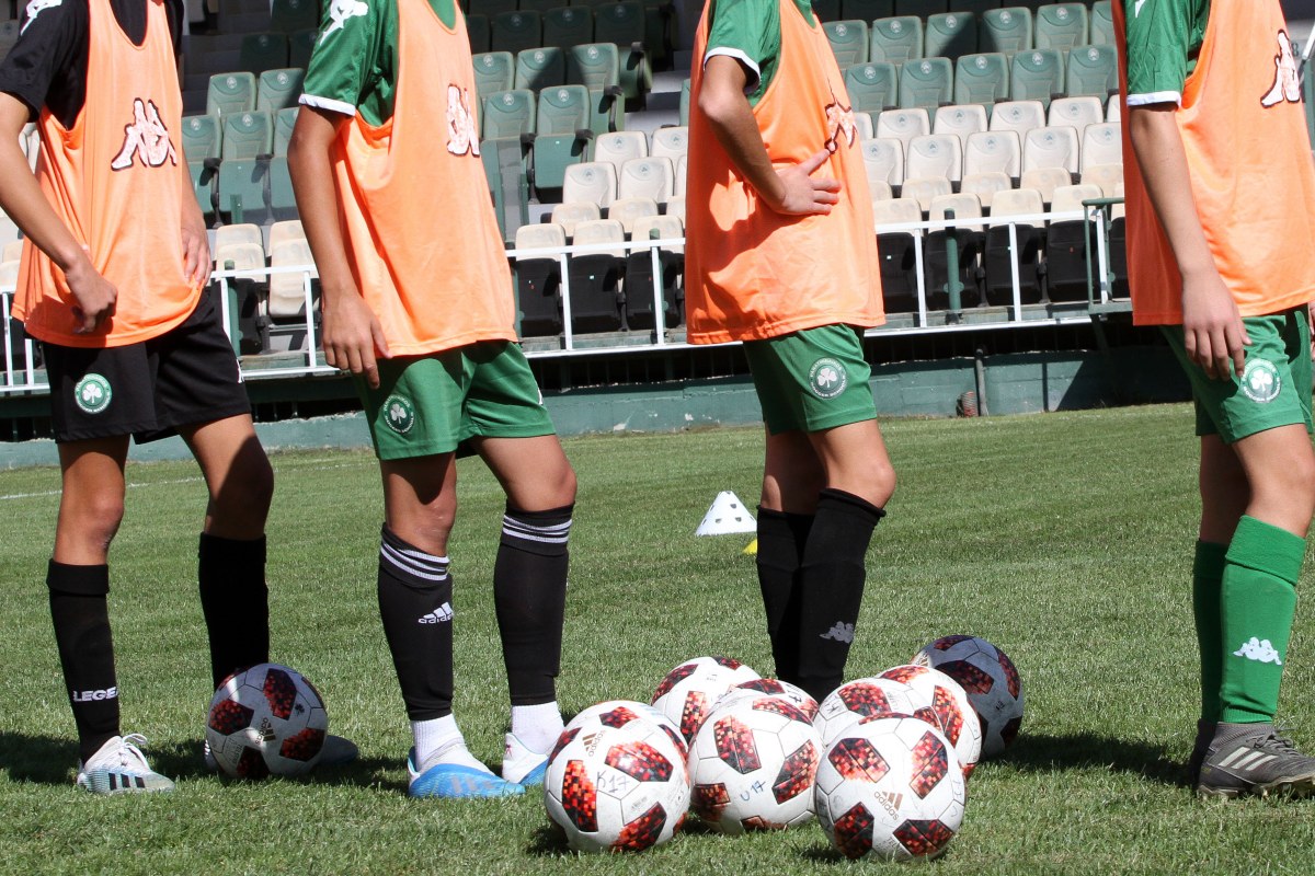 ΑΝΟΙΚΤΕΣ ΠΡΟΠΟΝΗΣΕΙΣ ΤΕΡΜΑΤΟΦΥΛΑΚΩΝ ΓΙΑ ΤΗΝ ΑΚΑΔΗΜΙΑ ΤΟΥ ΠΑΝΑΘΗΝΑΪΚΟΥ ...