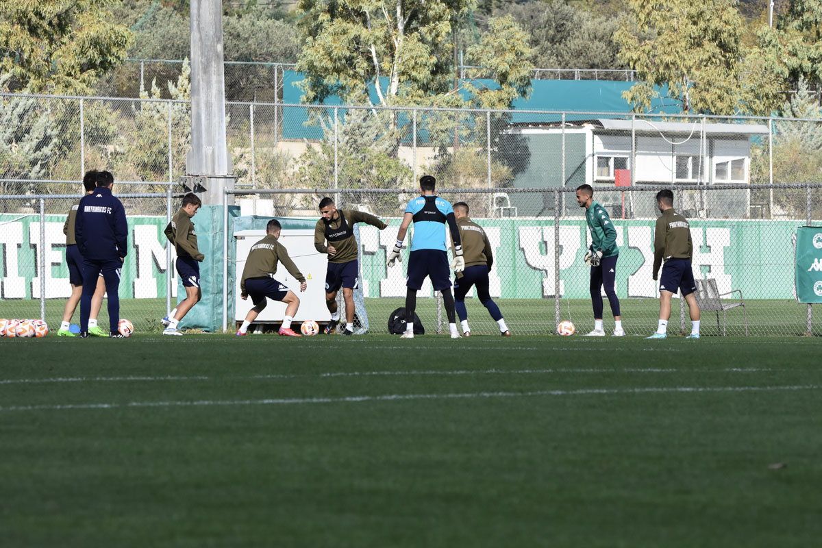 ΑΝΑΠΤΥΞΗ ΠΑΙΧΝΙΔΙΟΥ | PANATHINAIKOS FC OFFICIAL WEB SITE