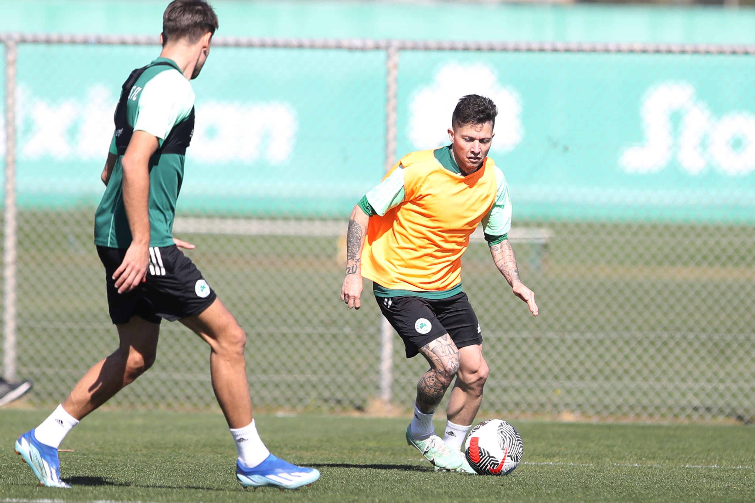 ΠΡΟΠΟΝΗΣΗ ΚΑΙ ΑΠΟΣΤΟΛΗ ΓΙΑ ΤΙΣ ΣΕΡΡΕΣ | PANATHINAIKOS FC OFFICIAL WEB SITE
